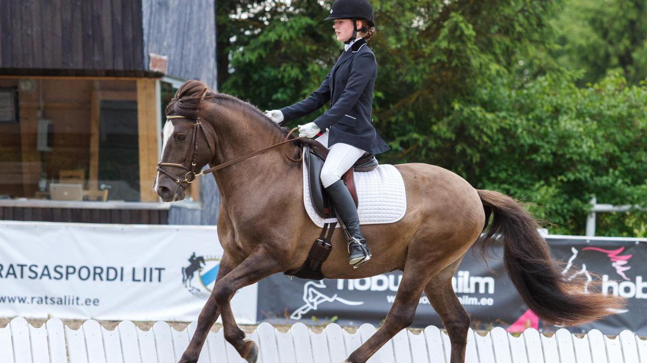 Eesti tõugu hobused – Hobuste müük