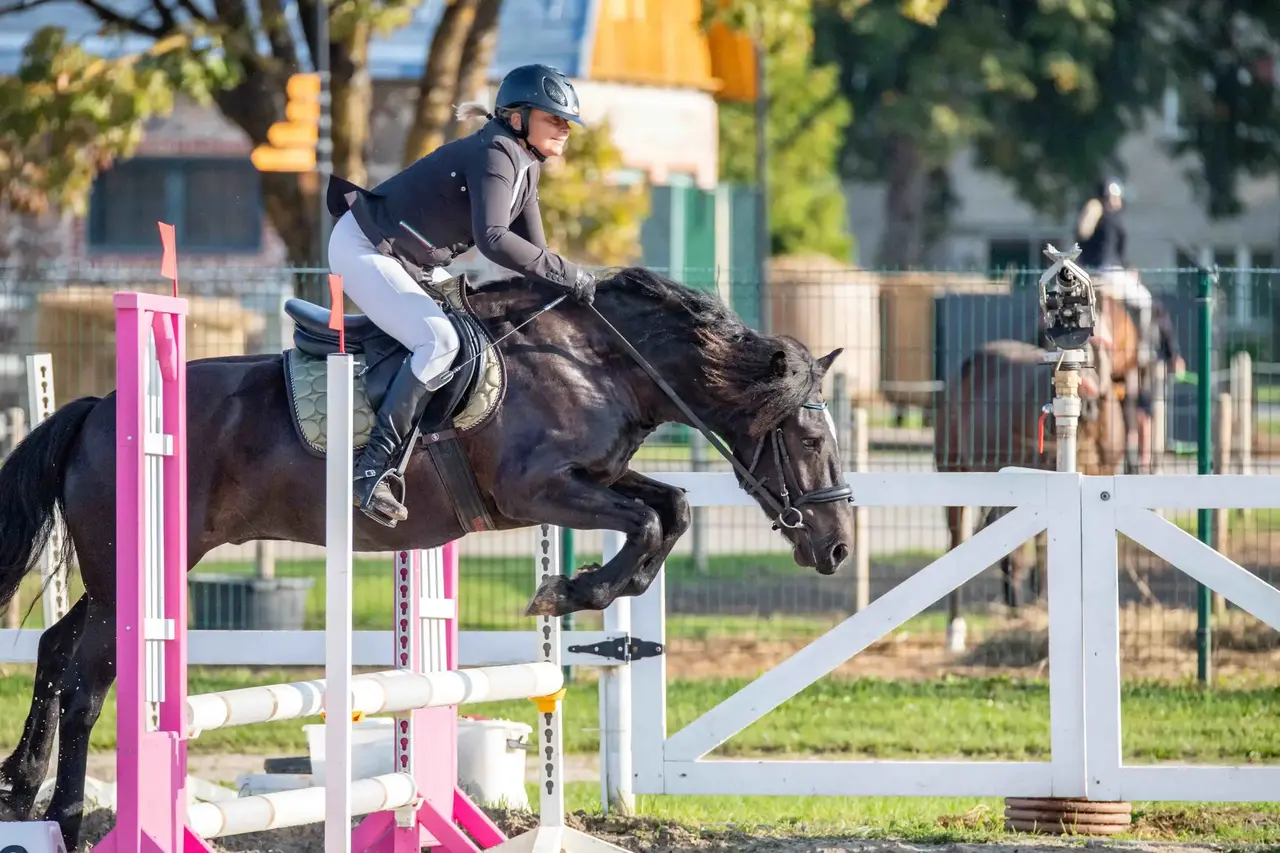 Eestinhevoset – Rular - 2020