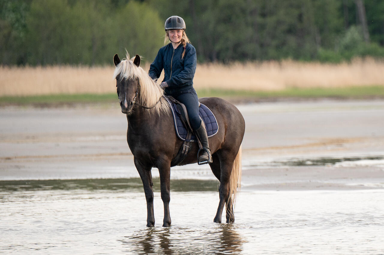 Eestinhevoset – Elulill - 2019