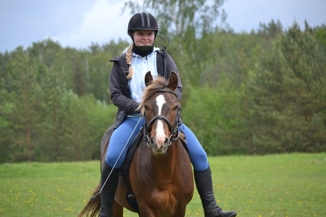 Eestinhevoset – Rebane - 2014